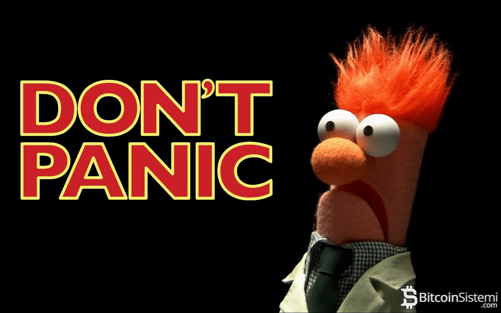 En Çok ve En Az ''Panik'' Satış Yapan Milletler - Bitcoin Sistemi