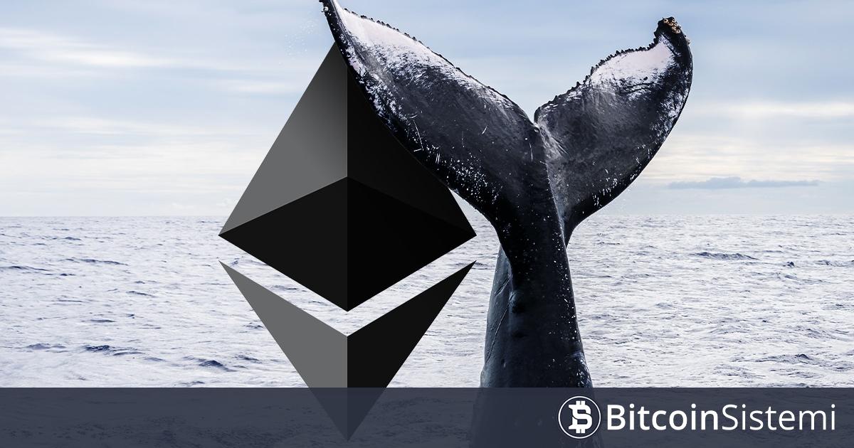 Sekiz Yıldır Uyuyan Ethereum Balinası Uyandı, 641 ETH Transfer Etti! - Bitcoin Sistemi