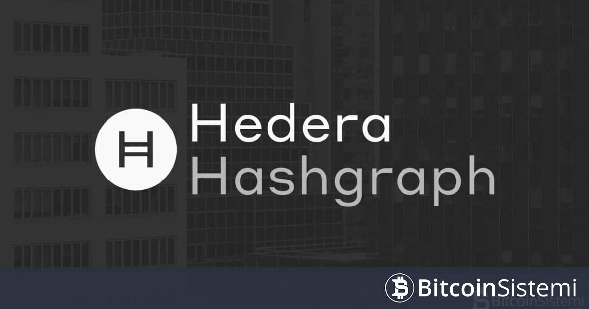 Hedera Hashgraph'ın Kripto Parası HBAR 3 Ay İçinde Nasıl Bu Kadar Değer ...
