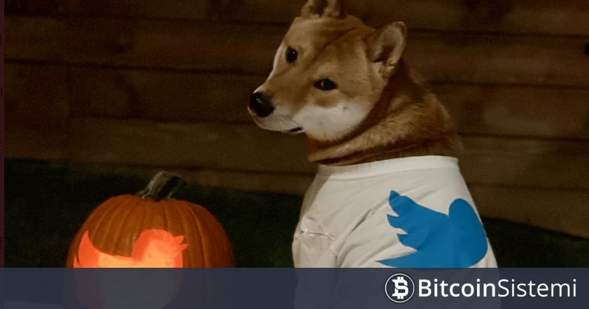 Elon Musk Twitter'da Anket Açtı, Dogecoin Piyasadan Ayrıştı: Önemli ...