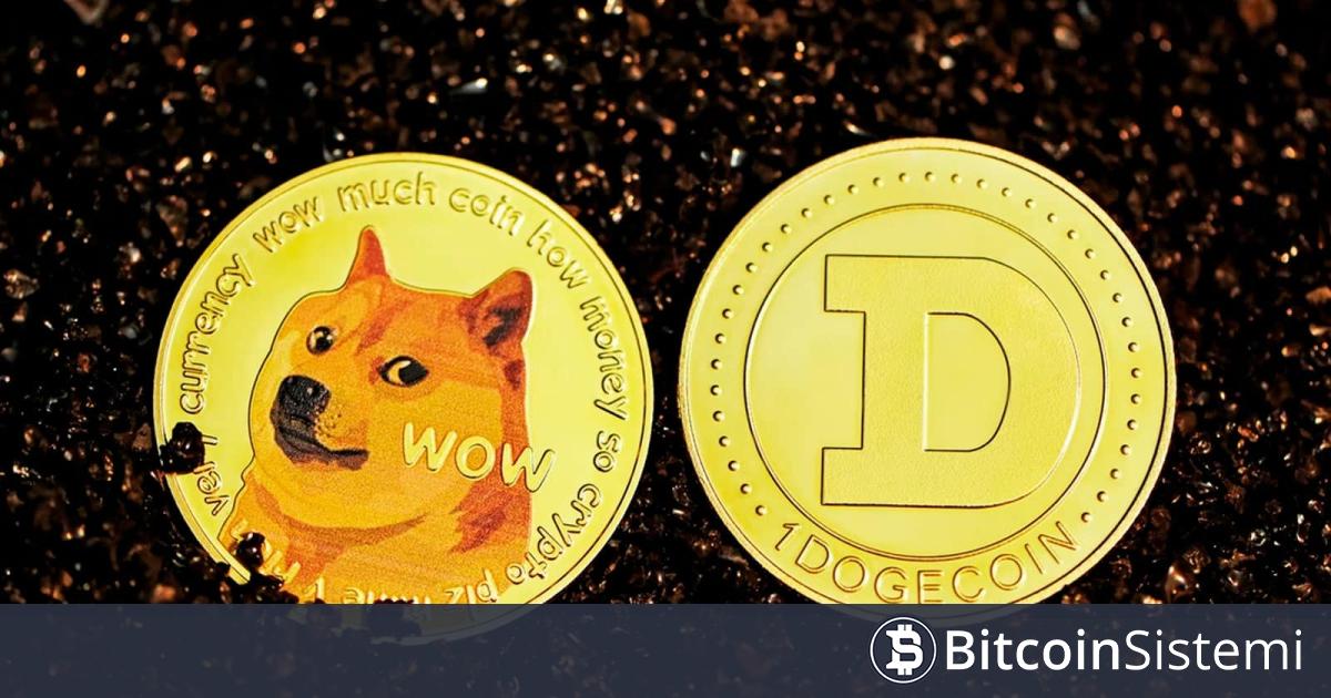 Dogecoin Maskot Köpeğinin Öldüğü İddia Edildi, DOGE Fiyatında Ani ...