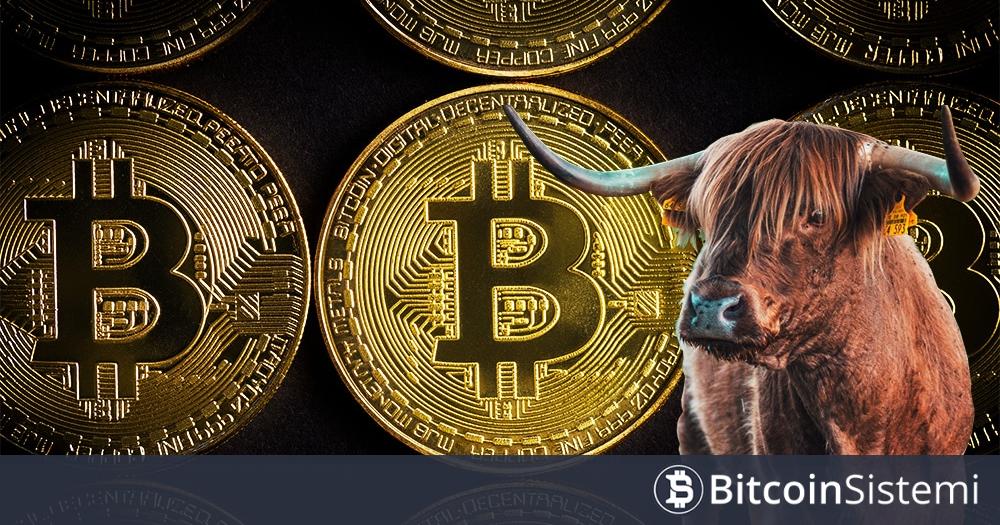 CryptoQuant CEO'su: "Bitcoin'de 2020 Boğasını Başlatan Balinalar ...