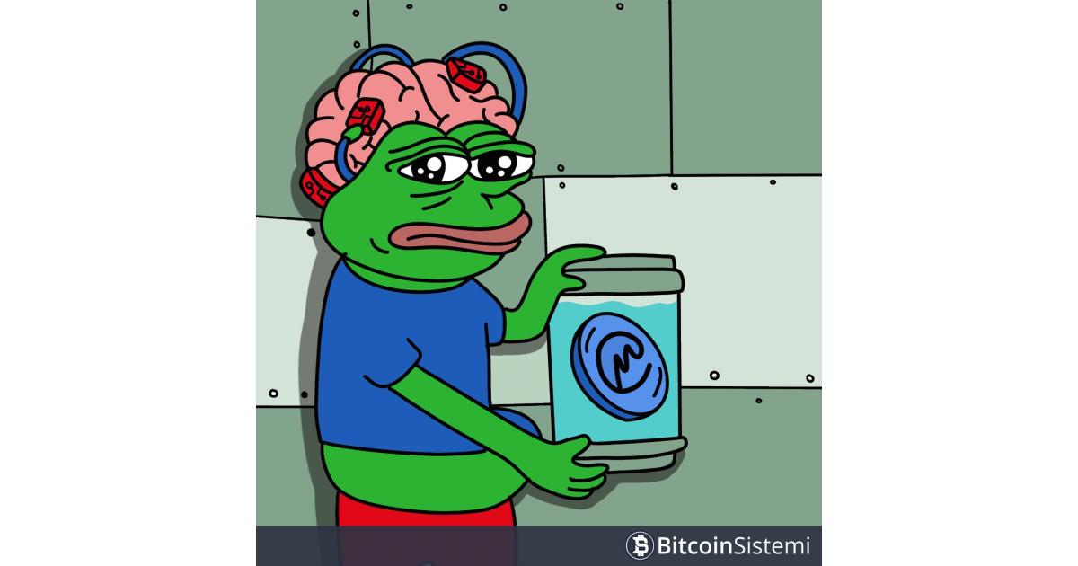 PEPU Coin 2024’ün Yıldızı Oldu! Hangi Meme Coinler 2025’te Öne Çıkacak ...