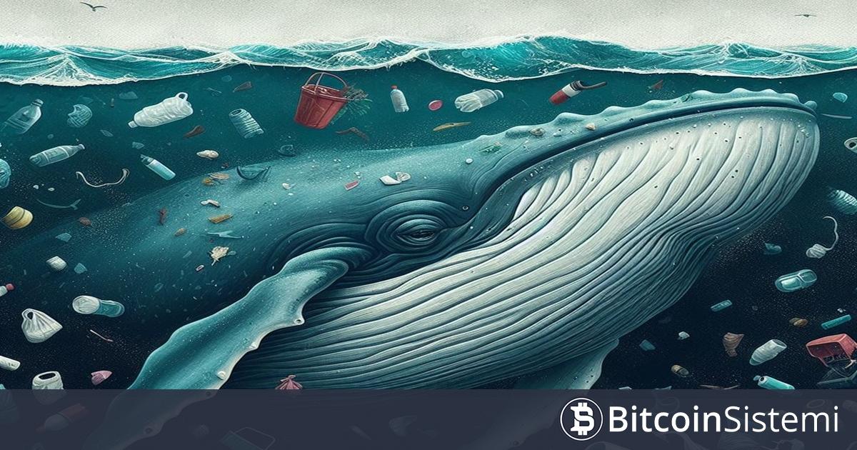 Devasa Kripto Para Balinası Uçurumun Eşiğinde: Bu Altcoin Biraz Daha ...