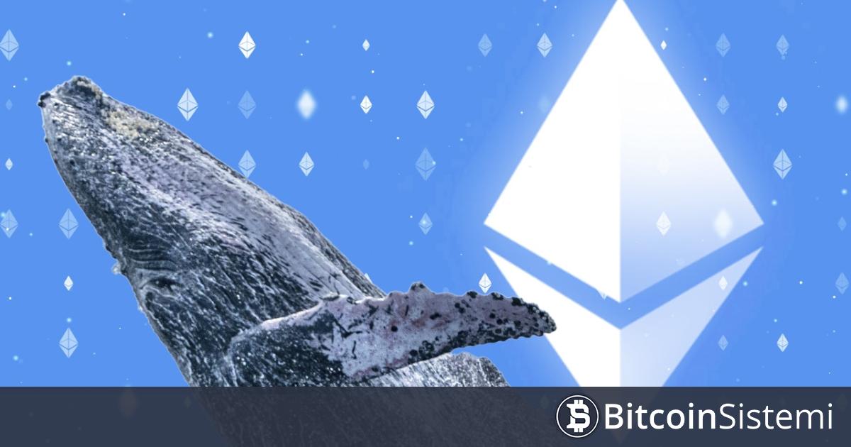 2014 Yılında Ethereum Satın Alan Balina Uykusundan Uyandı: Sadece 100 ...